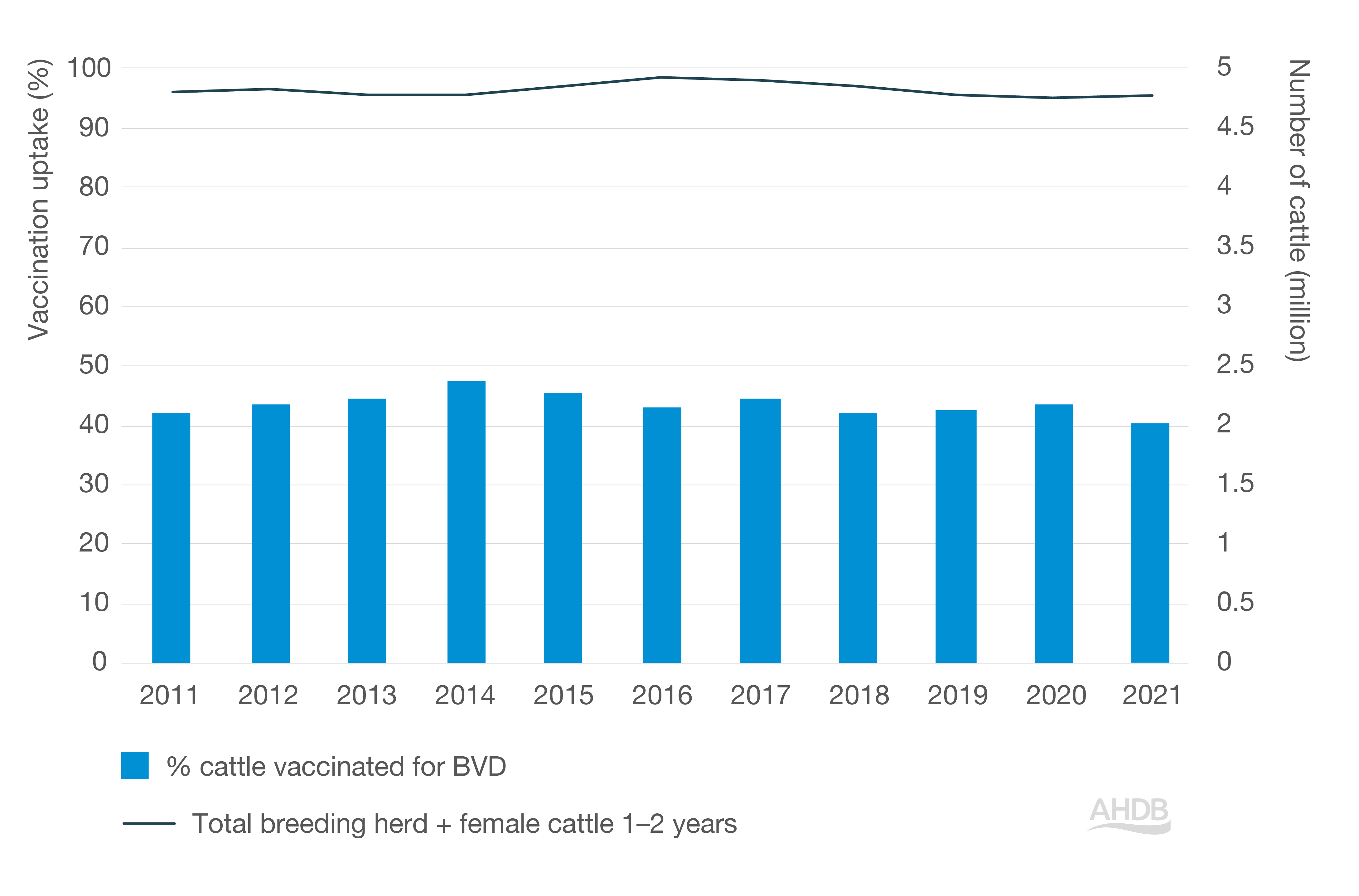 Bovine Viral Diarrhoea (BVD) virus vaccines in cattle | AHDB